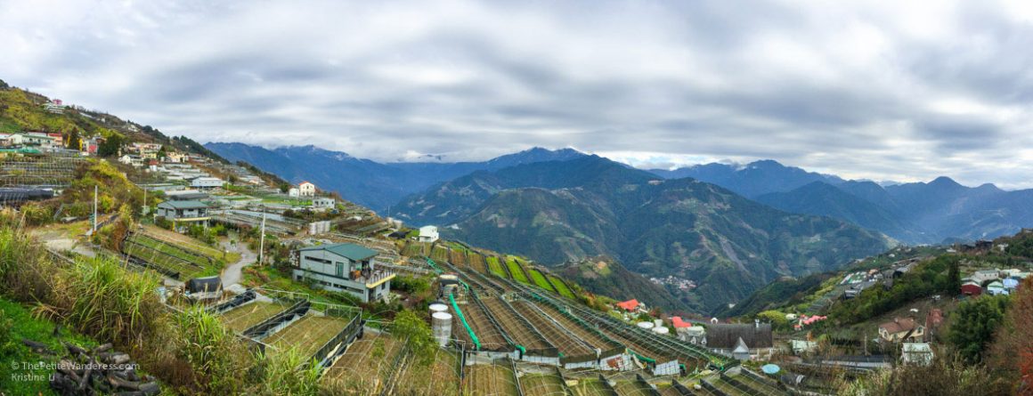21 photos to inspire you to visit Cingjing (Taiwan) • The Petite Wanderess