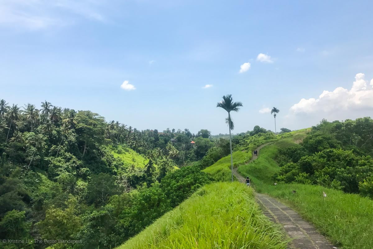 Easy hiking at Campuhan Ridge Walk in Ubud, Bali • The Petite Wanderess