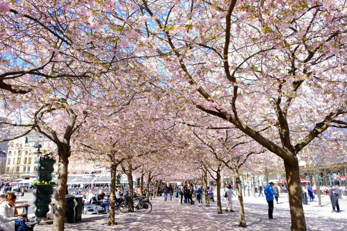 2 Days in Stockholm: The Not-So-Touristy Itinerary • The Petite Wanderess